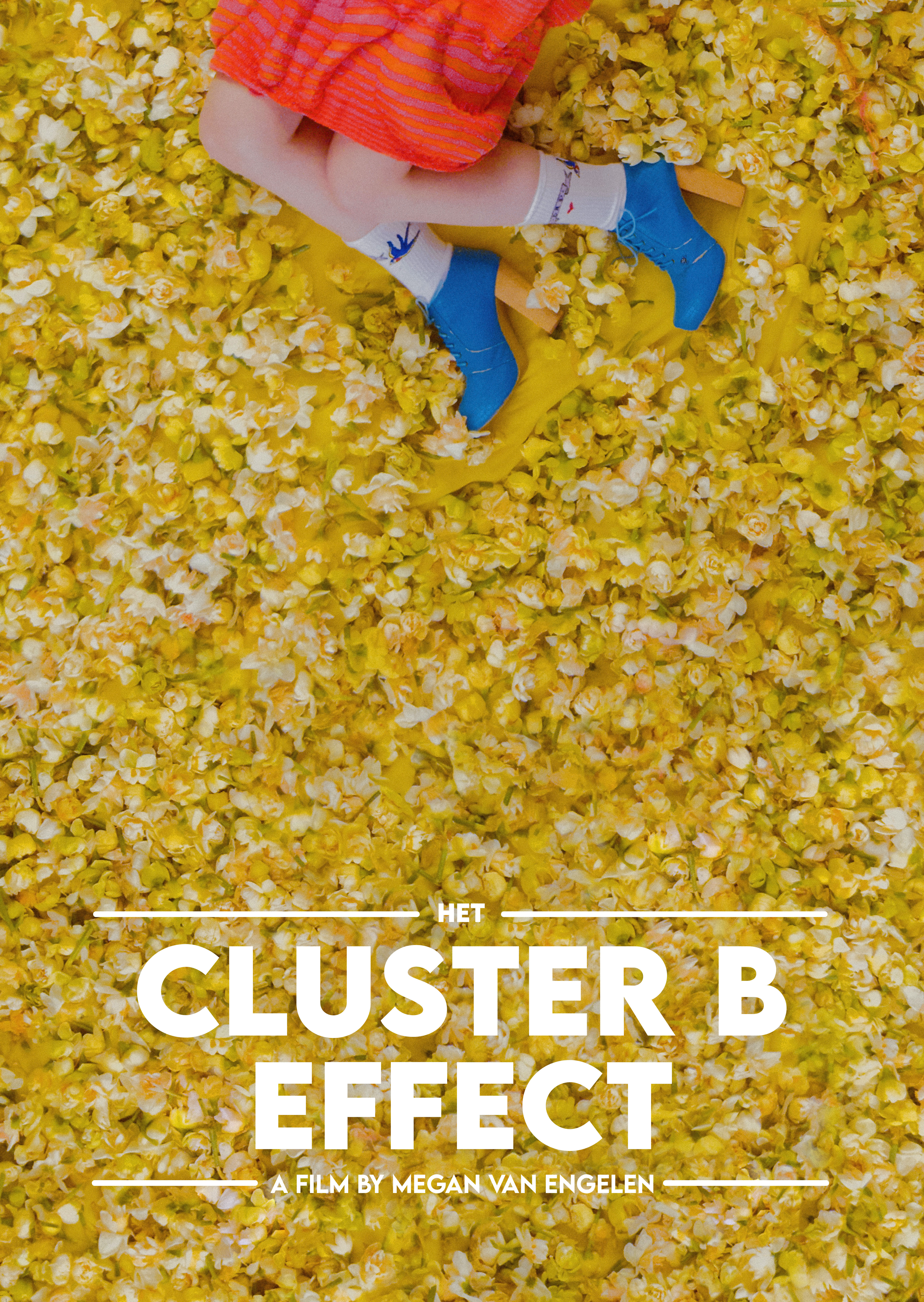 Cluster B EFFEct - Frouwke florentina